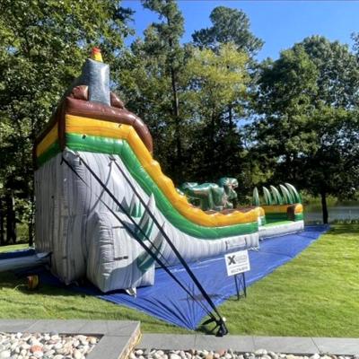Cina Lasciate andare la vostra immaginazione Giungla tropicale Dino tema scivolo d'acqua con Splash Pool Fun in vendita