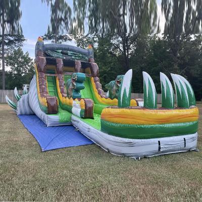 Cina Lasciate andare la vostra immaginazione Giungla tropicale Dino tema scivolo d'acqua con Splash Pool Fun in vendita