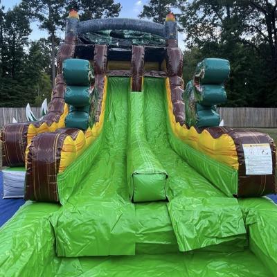 Cina Lasciate andare la vostra immaginazione Giungla tropicale Dino tema scivolo d'acqua con Splash Pool Fun in vendita