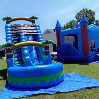 China CE/EN71/EN14960 Gecertificeerd 30ft buitenwaterpark Blauwe tropische palmbomen waterglijbaan voor 5-10 passagiers Te koop
