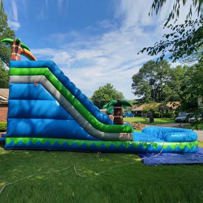China CE/EN71/EN14960 Gecertificeerd 30ft buitenwaterpark Blauwe tropische palmbomen waterglijbaan voor 5-10 passagiers Te koop
