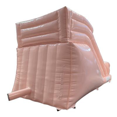 中国 屋外 商用 PVC チョコレート カラー 吹き込み 乾燥 湿気 スライド パーティー レンタル 販売のため