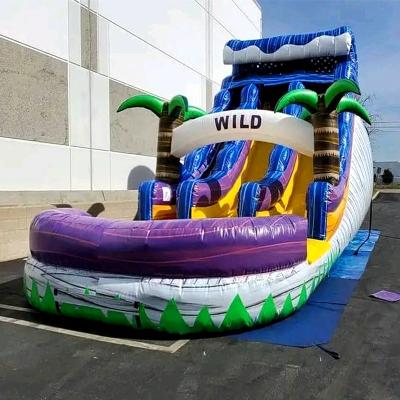 China Large Pool Kids Bounce Slide House Party Commercial Tropical Palm Trees Water Slide with Two Slip n Slide for sale