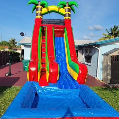 China Slide de agua de palmeras tropicales de patio trasero de PVC con piscina desmontable e impresión digital en venta