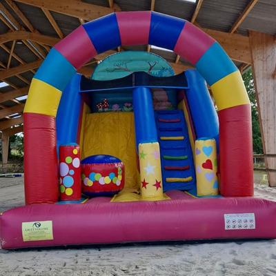 China Aluguer de festas Casa de doces Slide seco inflável com certificação CE/EN71/EN14960 à venda