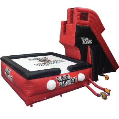 Cina Unisex giardino familiare sfollabile gioco di scivoli CE soffiatore e accessori di riparazione inclusi in vendita