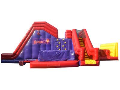 Cina Unisex giardino familiare sfollabile gioco di scivoli CE soffiatore e accessori di riparazione inclusi in vendita