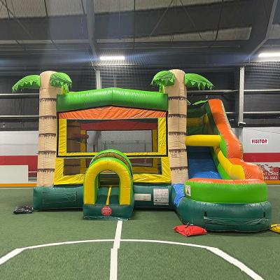 Cina Caratteristiche PORTABLE Castello gonfiabile Palm Tree Bounce House con scivolo e piccola piscina in vendita