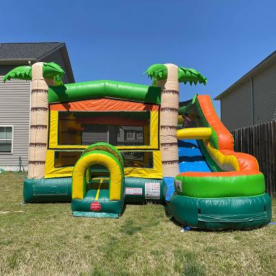 Cina Caratteristiche PORTABLE Castello gonfiabile Palm Tree Bounce House con scivolo e piccola piscina in vendita