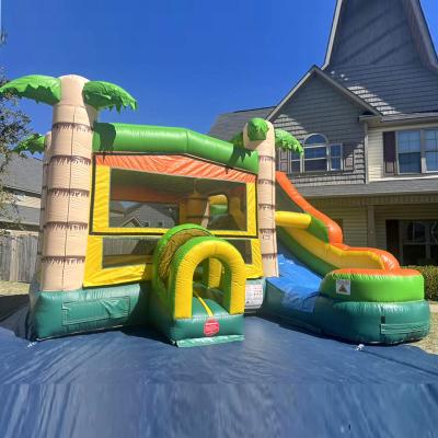 Cina Caratteristiche PORTABLE Castello gonfiabile Palm Tree Bounce House con scivolo e piccola piscina in vendita