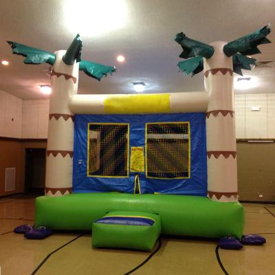 China 14 Years up Customized Color Tropical Palm Tree Bouncy Kids Bouncing Castle for Rent for sale