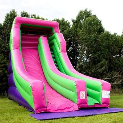 China Gran tobogán seco inflable en color personalizado para ocasión comercial en el parque acuático en venta