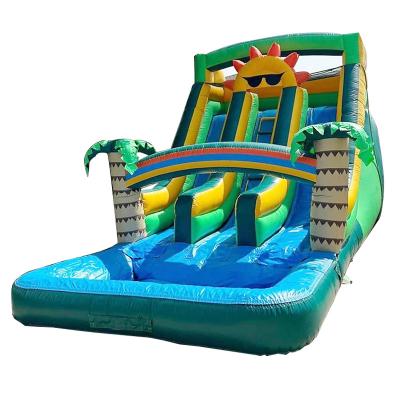 China Água ao ar livre divertida comercial PVC tema solar escorrega de água inflável com piscina de duas pistas à venda