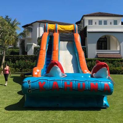 China 0.55mm PVC Tarpaulin Temática de Carpa Roja Deslizador de agua inflable con deslizamiento ancho y deslizador en venta
