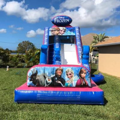 China Maximale capaciteit 100-500 kg opblaasbare bevroren bounce house waterglijbaan met groot zwembad Te koop