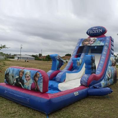 China Maximale capaciteit 100-500 kg opblaasbare bevroren bounce house waterglijbaan met groot zwembad Te koop