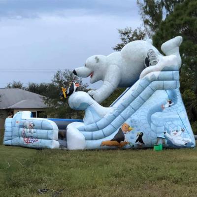 Cina Indoor Commercial Huge Arctic Plunge Slide d'acqua gonfiabile con slitta d'aria a doppia corsia in vendita