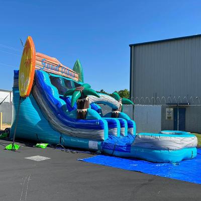China Commercial PVC Surfboard Double Slides Water Slide for Party Rentals Express Shipping for sale