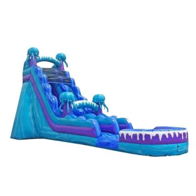 China Buitenpark Vermaakapparatuur 36ft Kleurrijke opblaasbare waterslide met zwembad Te koop