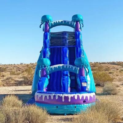 China Buitenpark Vermaakapparatuur 36ft Kleurrijke opblaasbare waterslide met zwembad Te koop