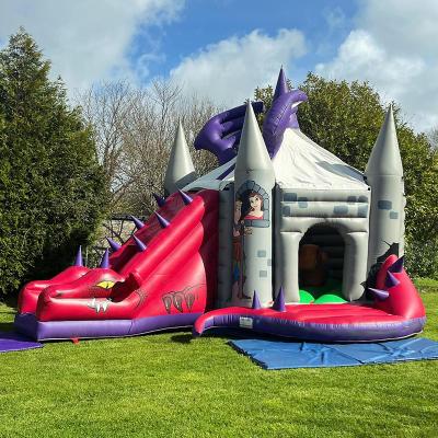 China Red Dinosaur Bouncy Castle met glijbaan hoe je je draak kunt trainen opblaasbaar bounce huis Te koop