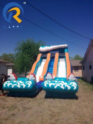 Cina Slide idraulico gonfiabile in bambusa in PVC per adulti e bambini Logo/modello personalizzato in vendita