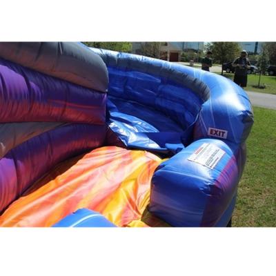 China Backyard Fun Large Inflatable Water Slide with Two Lane Wet Slip and 0.55mm Plato PVC for sale