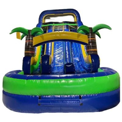 China Indoor Double-layer versterkt PVC Palmboom opblaasbare Double Slide Waterglijbaan met zwembad voor kinderen en volwassenen Te koop