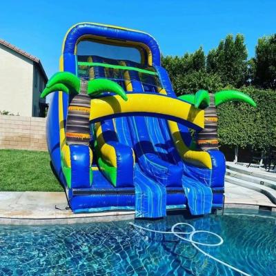 China Indoor Double-layer versterkt PVC Palmboom opblaasbare Double Slide Waterglijbaan met zwembad voor kinderen en volwassenen Te koop