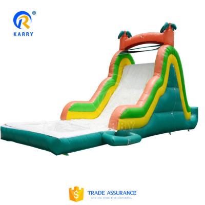 China Water Pool Castle Style Inflatable Bouncy Fancy Long Water Slide for Kids and Adults for sale