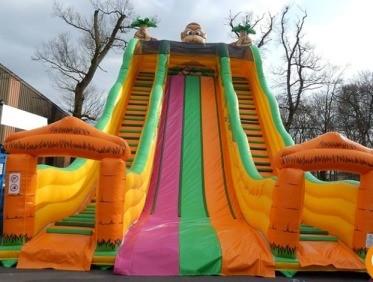 China Bringbringlight Slide Custom Material Wet and Dry Inflatable Water Slides for Event for sale