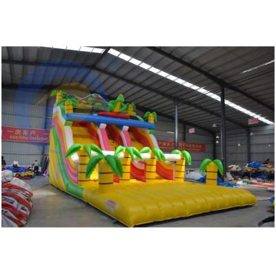 China Outdoor Public Playground Inflatable Jumping Bouncy Castle with Extra Wide Slide Lane for sale