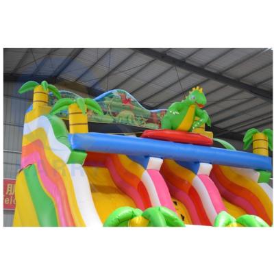 China Outdoor Public Playground Inflatable Jumping Bouncy Castle with Extra Wide Slide Lane for sale
