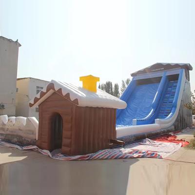 China Customized Design PVC Snow Dry Slide Inflatable Toboggan Run Slide for Kids and Adults for sale