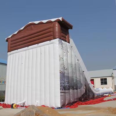 China Customized Design PVC Snow Dry Slide Inflatable Toboggan Run Slide for Kids and Adults for sale