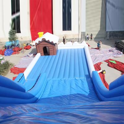 China Customized Design PVC Snow Dry Slide Inflatable Toboggan Run Slide for Kids and Adults for sale