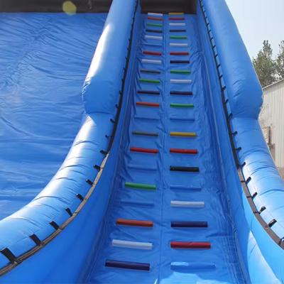 China Customized Design PVC Snow Dry Slide Inflatable Toboggan Run Slide for Kids and Adults for sale