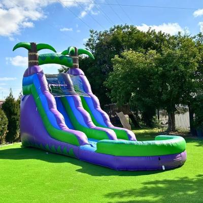 China Outdoor Occasion Grey Inflatable Water Slide with Three Arch Bouncing and Swimming Pool for sale