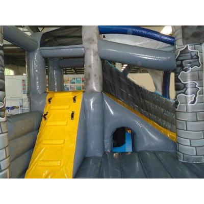 China Inflatable Majestic Bouncing House Castle Combo Slide Optional Sizes for 5-10 Passengers for sale