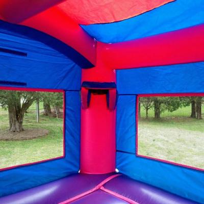 China Outdoor Playground Inflatable Frozen Bouncy Castle with Slide Commercial Grade Durable for sale