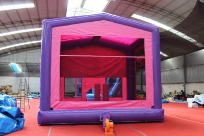 China Unisex Frozen Inflatable Castle Bouncer House with Optional Colors Bouncing for sale