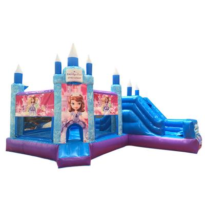 China Hot Princess Party Bouncy Castle with Slide PVC Commercial Playground Equipment for sale