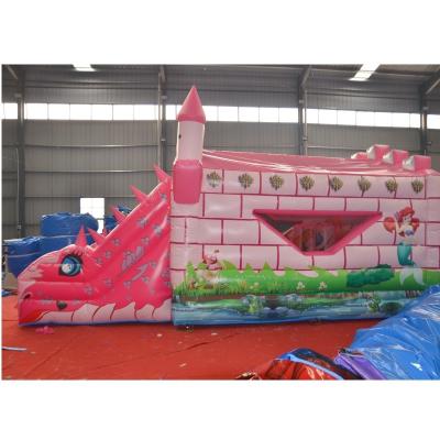 China Toddler Pink Castle Inflatable Chameleon Bouncy Castle Combo Slide with Accessories for sale