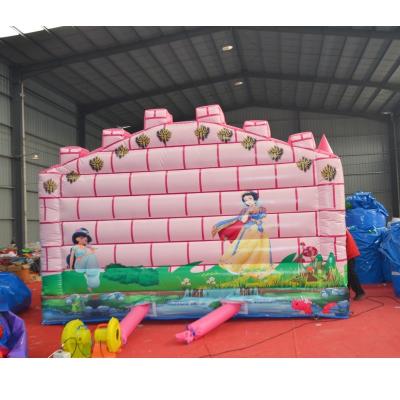 China Toddler Pink Castle Inflatable Chameleon Bouncy Castle Combo Slide with Accessories for sale