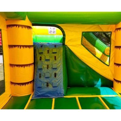 China 14 Years up Age Range Inflatable Bouncing House with Slide and Palm Tree for sale