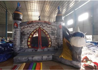 China Amusement Inflatable Kids Activity Center with Customizable Castle and Bouncing House for sale
