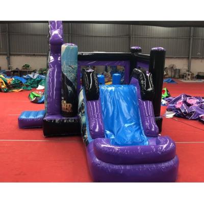 China CE Certificate Cartoon Printing Inflatable Bounce House and Slide Combo for Party for sale