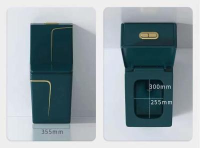 Cina sgrossatura di 300mm 400mm nel colore di lusso dell'oro verde della toilette sanitaria degli articoli in vendita