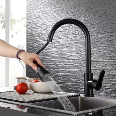 Cina Estragga un rubinetto sanitario di 304 articoli caldo ed il rubinetto della cucina dell'acqua fredda in vendita