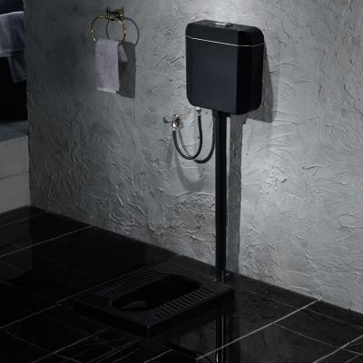 Cina WC sanitario di Washdown degli articoli della toilette tozza ceramica di superficie nera di Satined in vendita